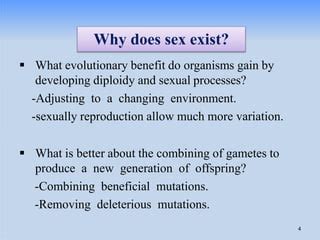 SEX DETERMINATION MECHANISMS IN PLANTS PPTX