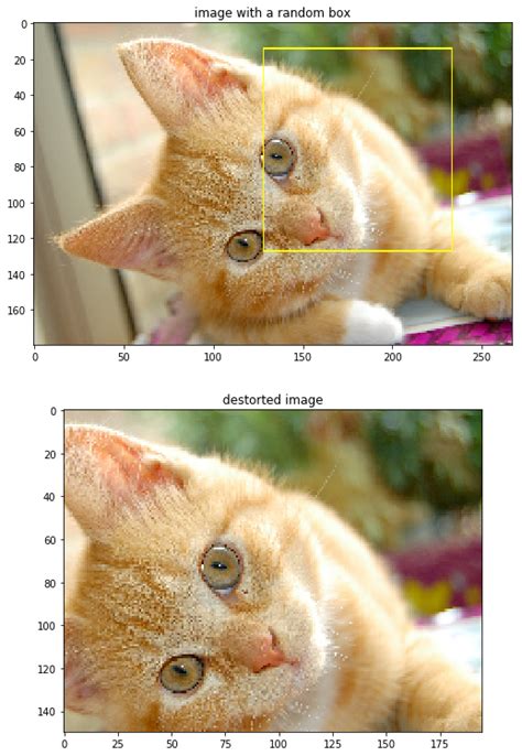 Python Why Does Not The Bounding Box And Clipped Picture Match Using Tf Image Sample Distorted