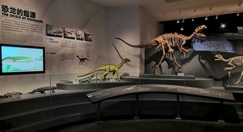 自贡恐龙博物馆二号馆广东省集美设计工程有限公司