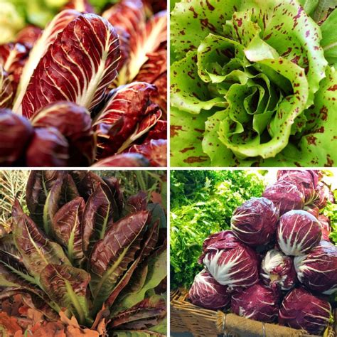How To Grow Purple Majesty Potatoes Gardensall