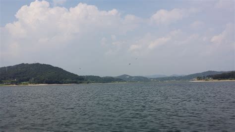 충남 논산 탑정호무식하게 용감하게 혼자 다녀왔습니다 카약필드 알리기kayaking Field 카약과 캠핑