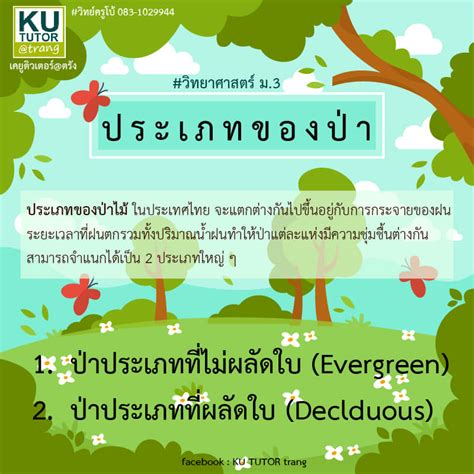 🆕 สาระน่ารู้วิทย์ By ครูโบ้ 🌻🎓 เรื่อง วิทยาศาสตร์ ครูโบ้