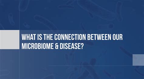 The Connection Between Our Microbiome And Disease Explained