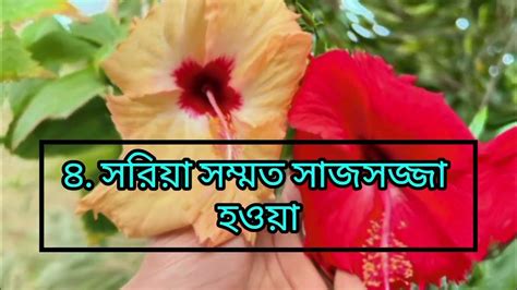 ইদ উল আযহার যত সুন্নত জেনে নিন Youtube