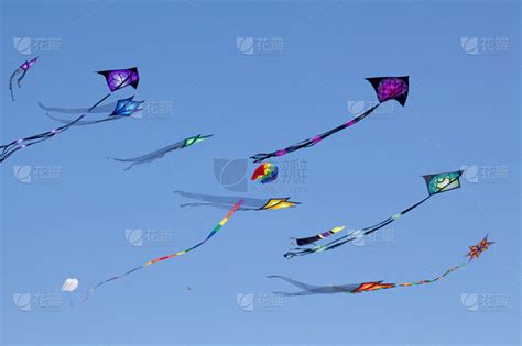 风筝天空蓝色明亮开普梅郡怀尔德伍德新泽西留白风