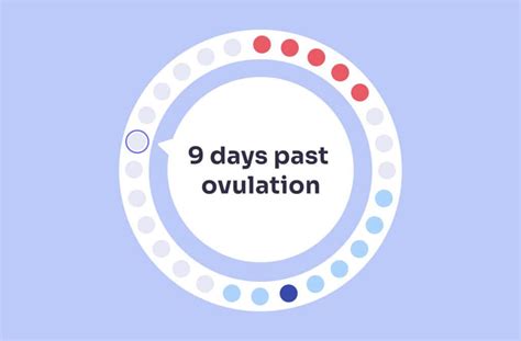 Can You Have Sex With A Uti What You Need To Know Femia