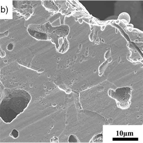 The Morphology Of Porous Titanium After Different Methods A Download Scientific Diagram