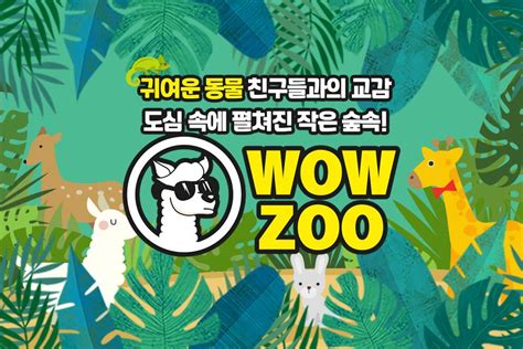 [경주] 경주 와우주 최저가 액티비티 인기상품 야놀자