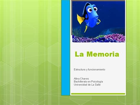 La Memoria Estructura Y Funcionamiento Alina Chaves Bachillerato