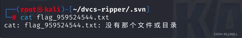 Svn泄露（ctfhub）svn代码泄漏 Csdn博客