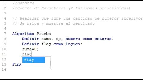 Cadenas De Caracteres Y Variables Tipo Bandera Pseudocodigo Youtube