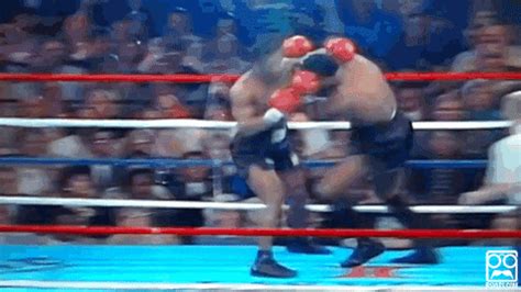 Mike Tyson GIF Find Share On GIPHY Mike Tyson GIF Find Share On GIPHY