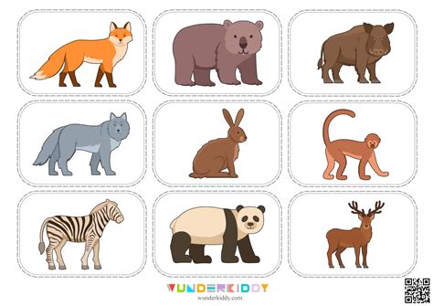 Animal Classification Sorting Preschool Activity