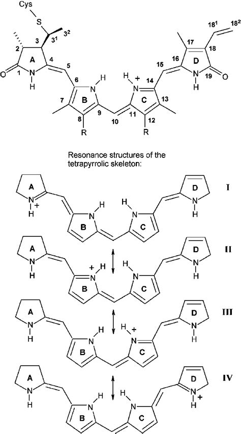 Chemical Structure Of The Phytochromobilin Chromophore Of Plant Download Scientific Diagram