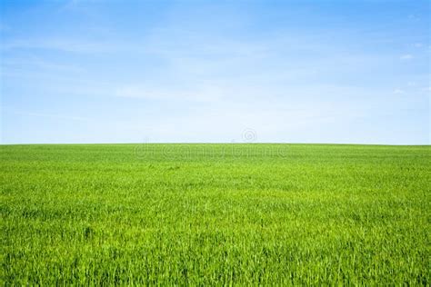 Empty Field Background At Ana Means Blog