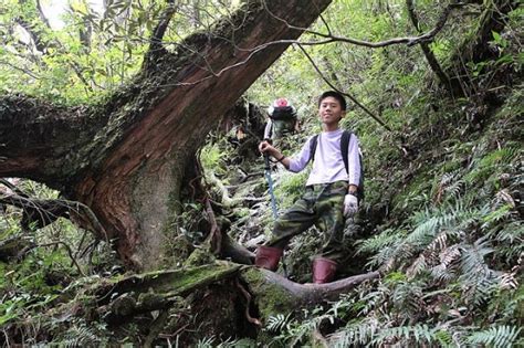 桃園復興三尖之復興尖山 健行筆記