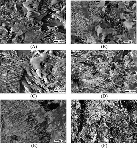 Microstructures Of Alloy B 023 Cu Annealed For 10 000 S At A