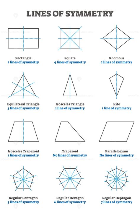 Lines Of Symmetry Guide Vector Illustration Collection VectorMine