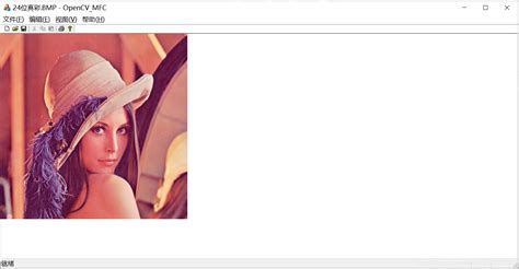 基于opencv与mfc单文档的图像处理软件 2 图像的显示mfc Dilalogopencv实现图像缩放 Csdn博客