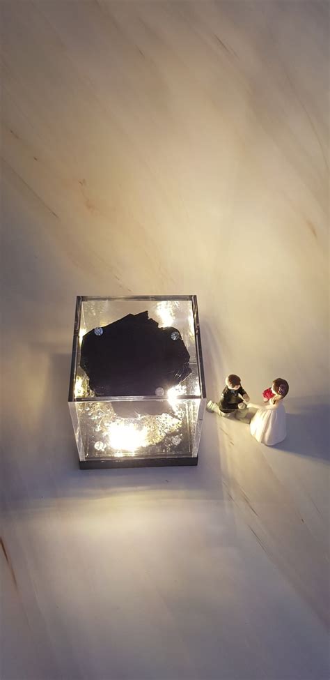 프리저브드플라워 블랙로즈 아크릴돔 Led조명 무드등 프러포즈선물 용인꽃 네이버 블로그