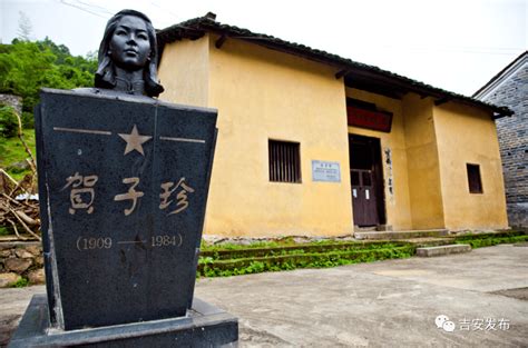 沿着红色路线学党史线路三三湾改编铸军魂永新红色精品线路1日 贺子珍