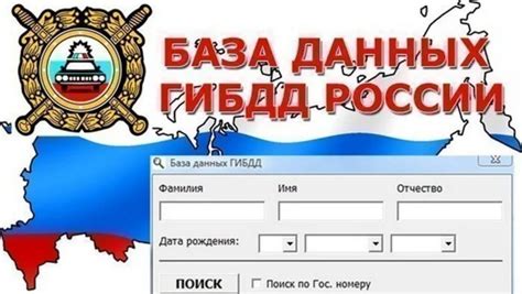 Как найти владельца машины по госномеру авто 🦈
