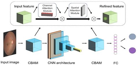 Biomedicines Free Full Text Deep Learning Evaluation Of Glaucoma Detection Using Fundus