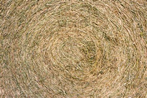 Why Buy Baling Twine For Sale Accunet Secure