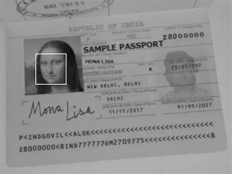 Excel狂魔？单元格做计算机视觉：人脸检测、ocr都不在话下 正数办公