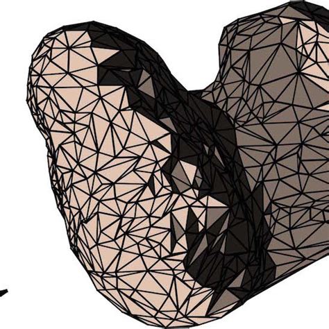 Shadowing Algorithm Output The Illuminated Faces Are Pale Brown The Download Scientific