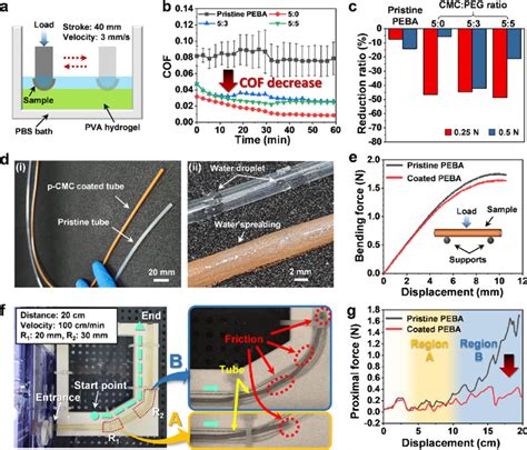 A Schematic Illustration Of Wet Friction Test System B Measured Download Scientific