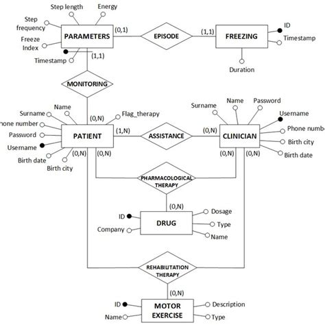 Entity Relationship Model Of The Central DB Download Scientific Diagram