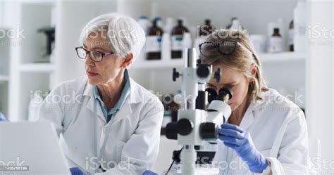 의료 과학 경력의 사람들과 현미경 연구 및 실험실 기술 테스트 생명공학 종사자들은 임상 사무실에서 함께 의료 의학 실험으로 바쁘다 실험실에 대한 스톡 사진 및 기타 이미지