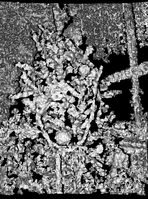 Tau Lidar Camera 3d Depth Sensing For Robotics