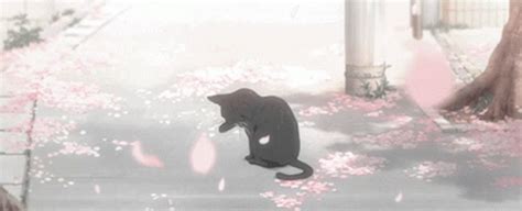 Anime Pink  Anime Pink Discover And Share S