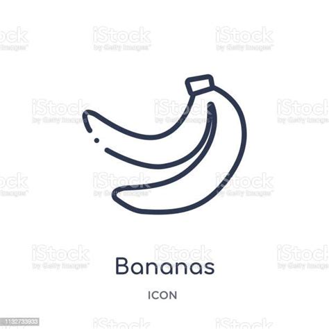 음식 개요 컬렉션에서 선형 바나나 아이콘입니다 얇은 라인 바나나 아이콘 흰색 배경에 고립입니다 바나나 유행 그림 0명에 대한 스톡 벡터 아트 및 기타 이미지 Istock