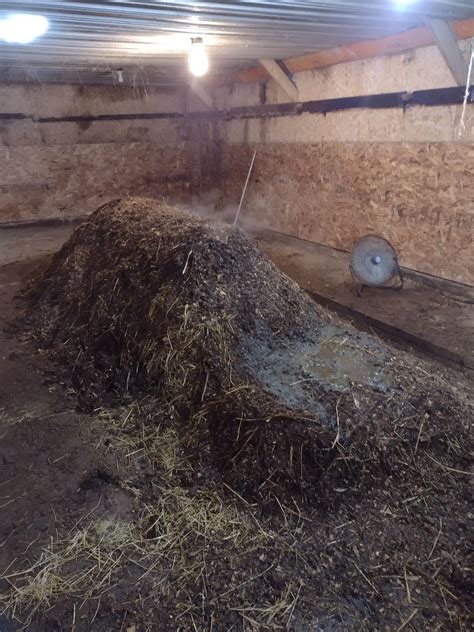Poultry Deep Litter Raised 1k Chickens And 100 Turkeys Last Year Half A Round Bale Of Hay