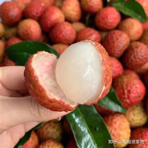 中国荔枝品种大全，你认识几种？ 知乎
