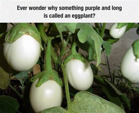 Mystery Solved Album On Imgur