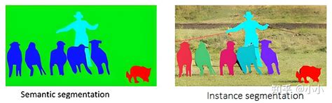 实例分割 知乎 实例分割 知乎