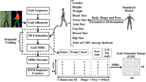 semantic folding and sdrs coding of gait features download scientific diagram