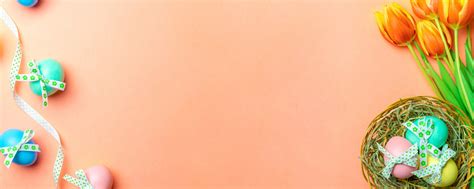 부활절 토끼 테이프 리본 봄 튤립 해피 부활절 장식의 파스텔 핑크 배경에 깃털이 있는 다채로운 달걀 상단 보기의 전통적인 배너 4월에 대한 스톡 사진 및 기타 이미지