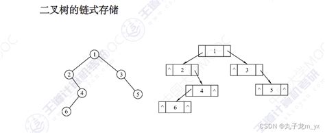 数据结构 二叉树（包含二叉树的层次建树、前中后序遍历、层次遍历解析及代码）二叉树建树 Csdn博客