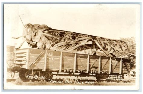 1940 Fd Conard Exaggerated Grasshopper Fresh Air Pullman Rppc Photo