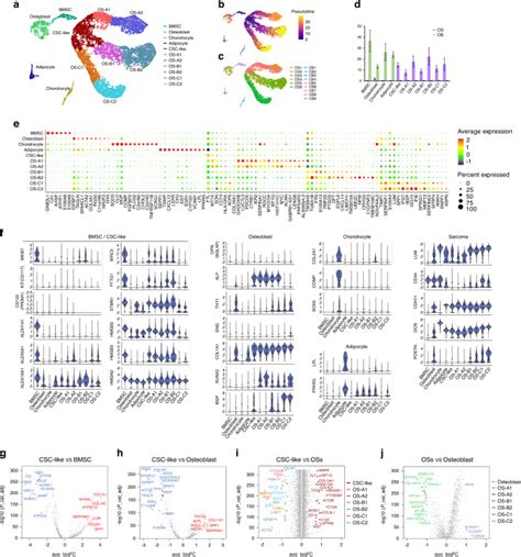 A Novel Molecular Classification Method For Osteosarcoma Based On Tumor Cell Differentiation