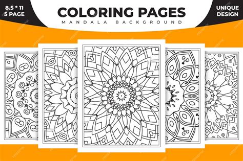 만다라 Kdp 색칠 페이지 디자인 꽃 라인 아트 그림입니다 만다라 Kdp 색칠하기놀이 간단한 색칠 페이지 만다라 배경입니다 만다라 패턴 벡터입니다 흑백 색칠하기 책