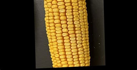 Version Mix Object Detection Dataset By Classmachine