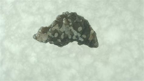 Pyroraptor Dinosaur Egg Shell 26 Fossils For Sale