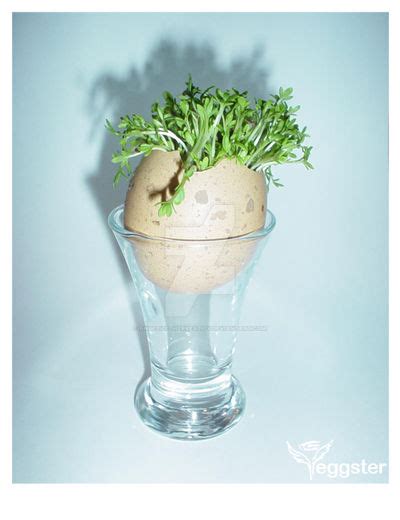 Eggster 1 By Angelicetherreality On Deviantart