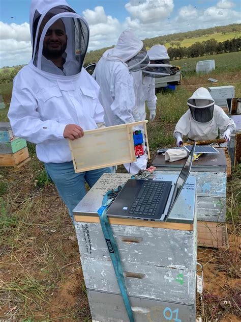 Smart Beehive Monitoring For Remote Regions Cooperative Research Centre For Honey Bee Products